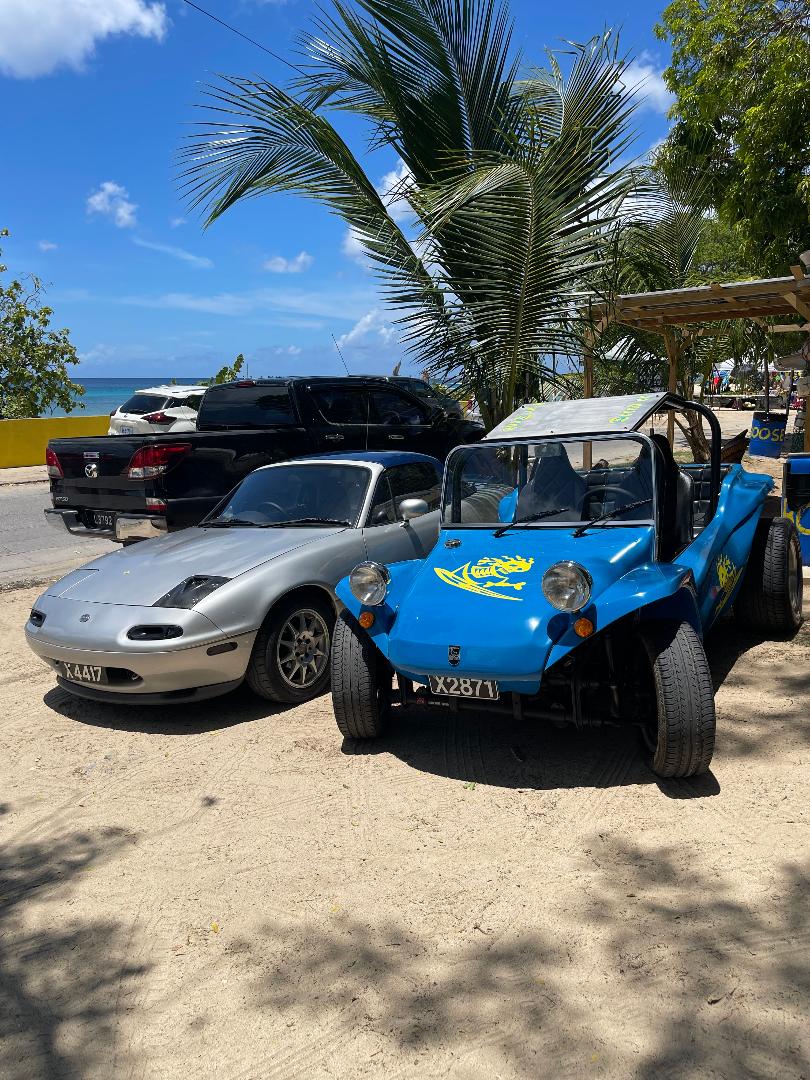 BARBADOS SURF SCHOOL 2026 | Dread or Dead Surf School